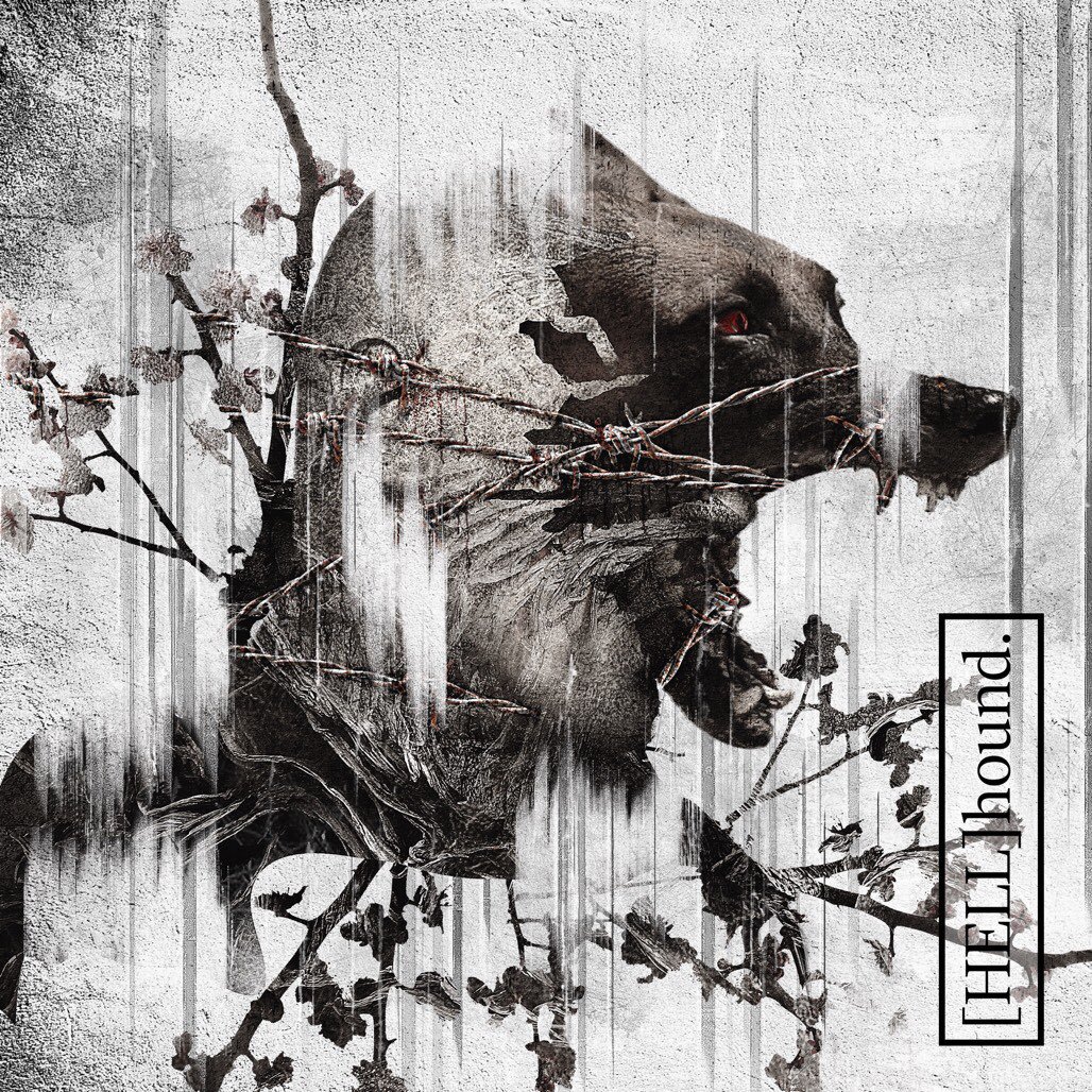 TRNTY D:CODE : [HELL]hound (single) - Crimson Lotus - Visual Kei promotion