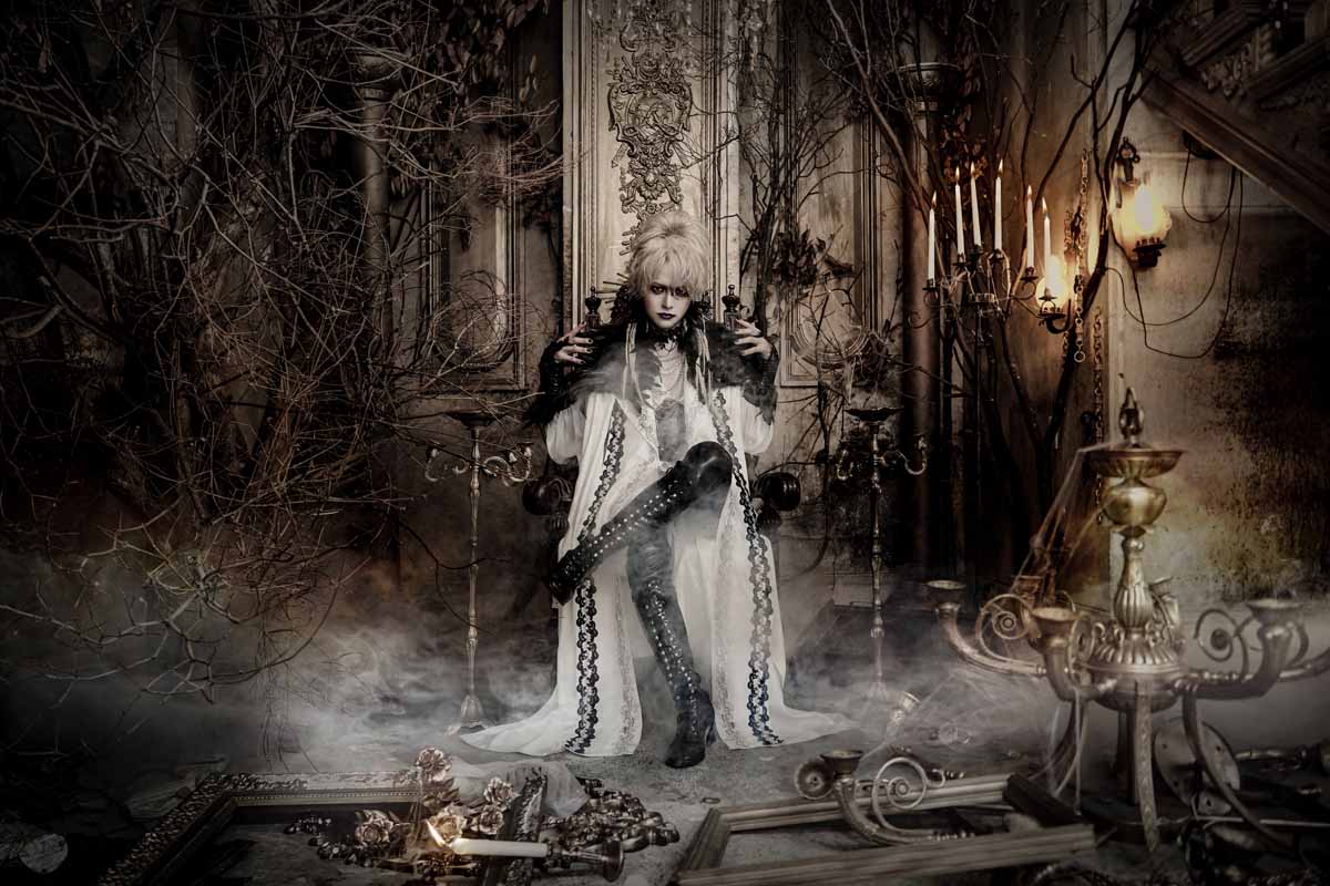 David - Project to go on hiatus - Crimson Lotus - Visual Kei promotion